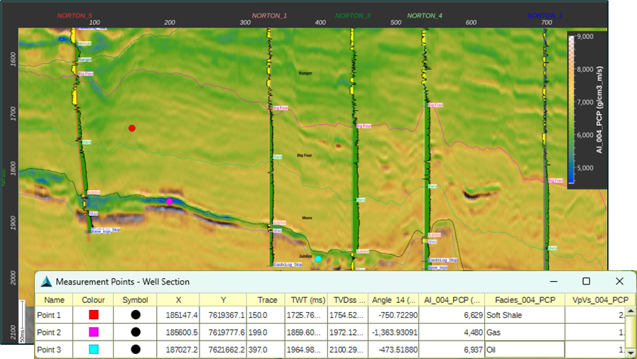 Reservoir Characterization Enhancements - RokDoc 2025.2